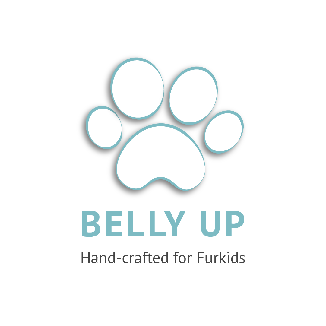 Find Your Favorite Brand | Pet Master Singapore
